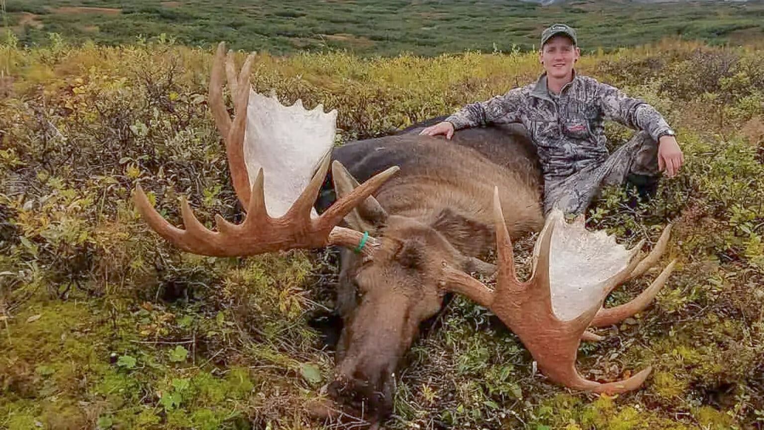 Guided Alaska Moose Hunting | Rosser Outfitters - Alaska Hunting and ...