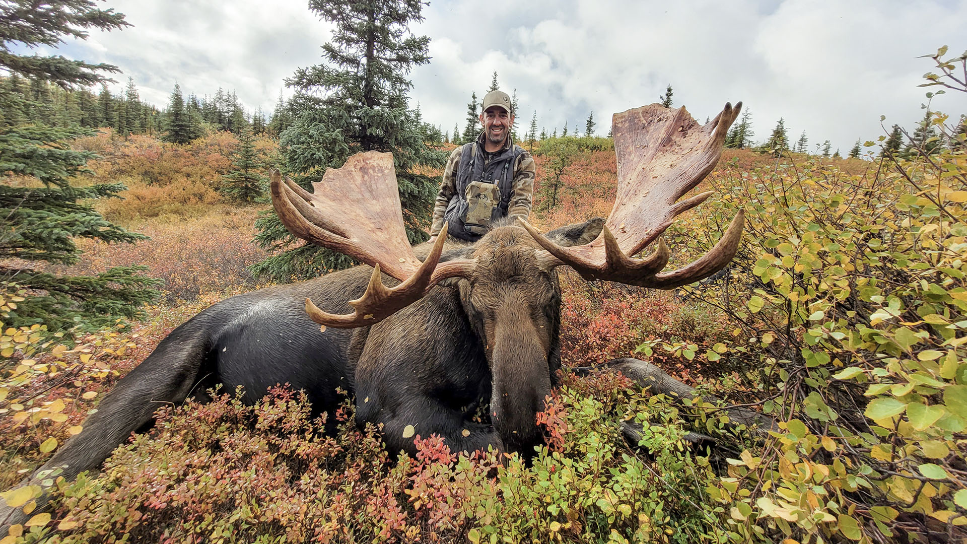 Guided Alaska Moose Hunting | Rosser Outfitters - Alaska Hunting and Fishing Guides